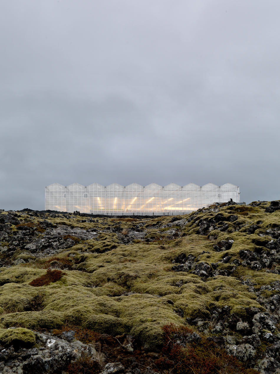 Bioeffect Everything you Need to Know about Barley EGF - John Bell ...