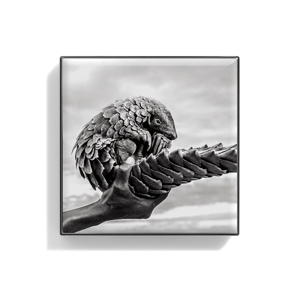 Chantecaille Luminescent Eye Shade Pangolin 2g - John Bell & Croyden ...